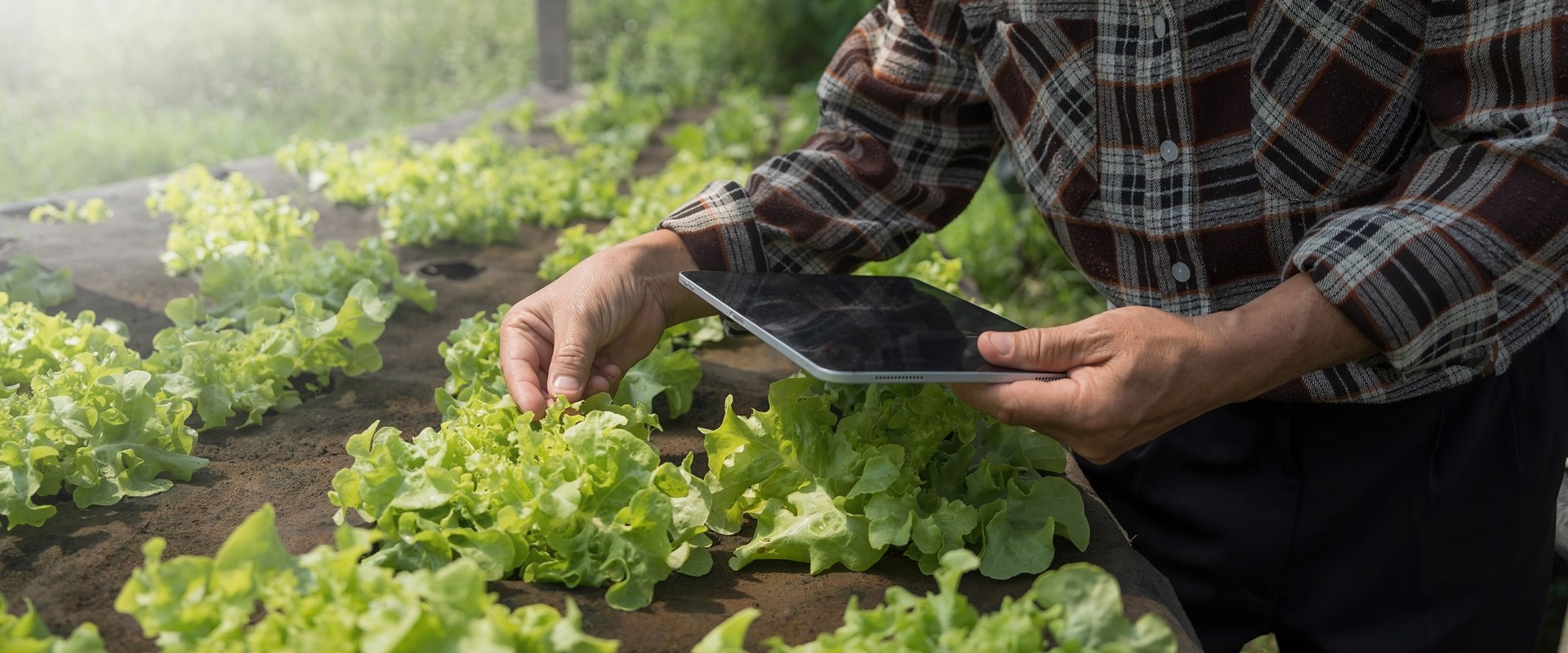 Is Ai About To Revolutionise Foodtech Potter Clarkson